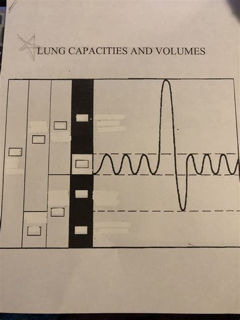 Lung Capacities And Volumes Diagram Quizlet