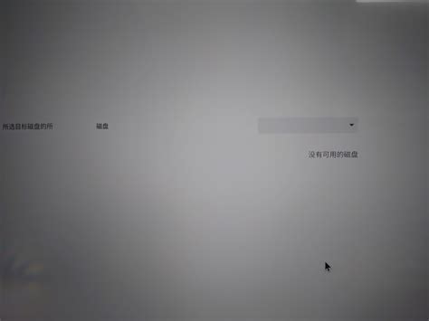 Fydeos安装程式无法识别我的硬盘 求助答疑 Community