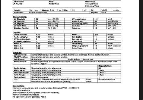 Echocardiogram Results Raskdoctorsmeeee
