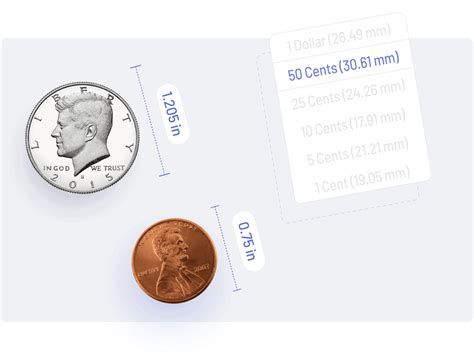 Mole Sizing Measure Your Moles With Miiskin