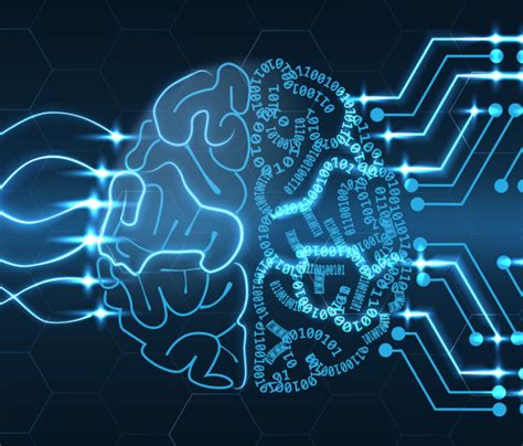 6 Exercices Corrigés Algorithmes De Tri Complex Systems And Ai