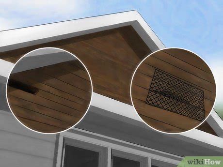 Ways To Remove A Bat From A Home WikiHow