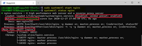 Install Nginx And Configure It As A Reverse Proxy Server Asp Net Core