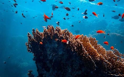 عکس‌های تماشایی اقیانوس‌ها، آبی وحشی و اسرارآمیز کجارو