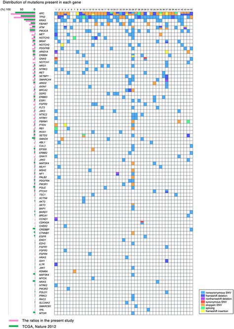 Comparison Chart Of Gene Mutations In 45 Crc Samples Mutations Of 114