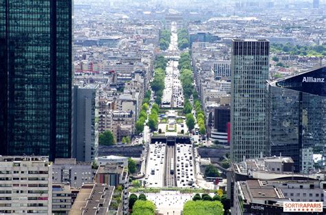 프랑스 라데팡스 엽기자랑 와이고수