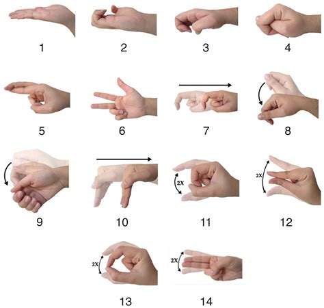 Gdk Hand Signnotifications