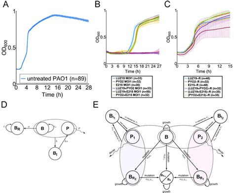 complex systems in healthcare plos collections