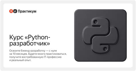 Python разработчик с нуля курс онлайн обучения языку программирования Python Питон для