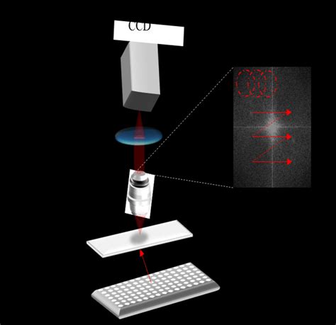 Fourier Ptychographic Imaging Setup 2 Download Scientific Diagram