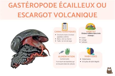 Gastéropode écailleux ou escargot volcanique - Caractéristiques et ...