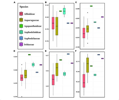 The Comparative Analysis Of Codon Usage Bias In Allium Allioideae