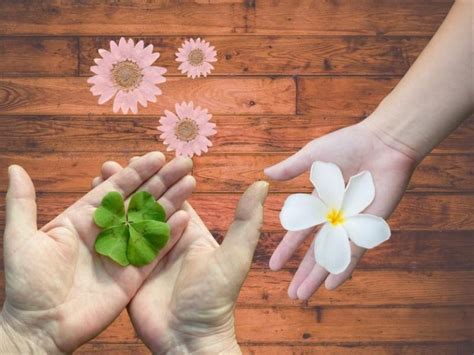 6 Engaging Games And Activities For Teaching How Rotational Symmetry Works Number Dyslexia