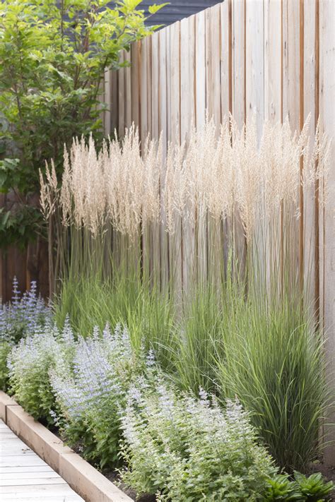 38 Garden Borders With Grasses Naturalistic Garden Front Garden