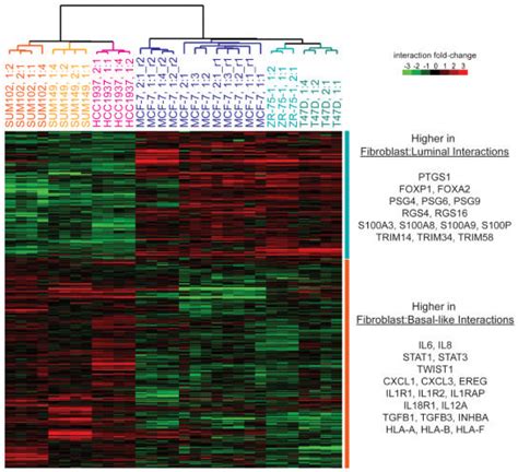 Basal Like And Luminal Cocultures Show Distinct Gene Expression