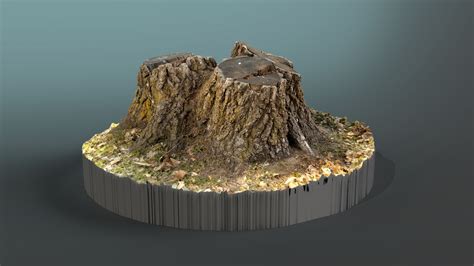 Oak Tree Stump Photogrammetry Asset Blender Market