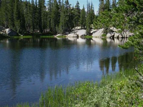 Tilden Lake Backpacking To Hetch Hetchy In Yosemite
