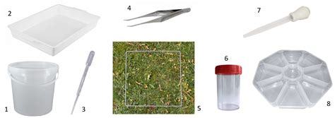 Kick Sampling2 Hoopoe A Blog By Nhbs