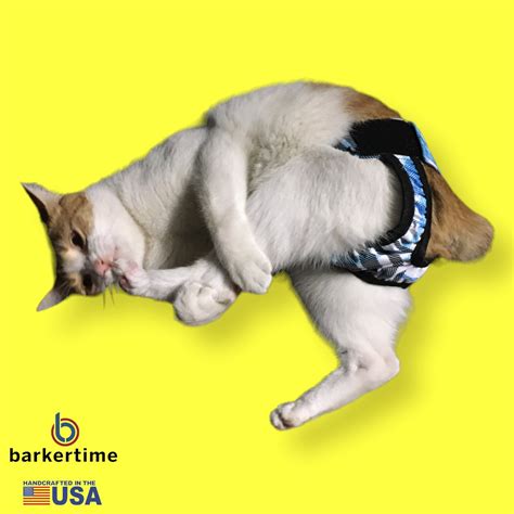 Cat Pull Up Diapers At Susan Cochrane Blog