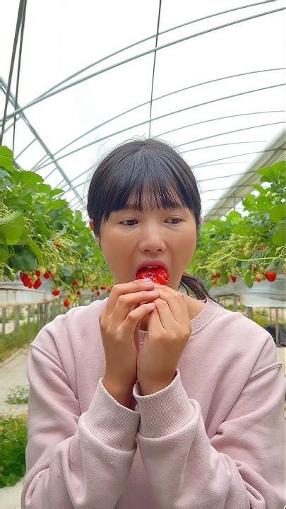 딸기밭에서 엄마 몰래 Youtube