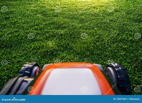 Grass Mower In Action Stock Image Image Of Tool Backyard 72557493