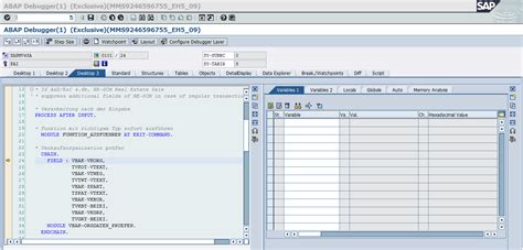 SAP Debugging Techniques Mastering Functional Debugging And ABAP
