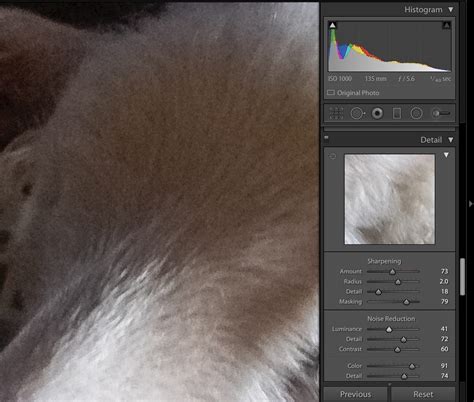 Best Noise Reduction Software In 20228 Top Picks