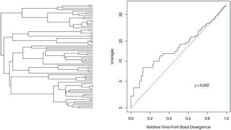 Exemplar Lineages Through Time Plot An Example Of A Download Scientific Diagram