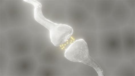 Synapse 3d Model Cgtrader