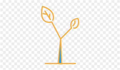 Tree Seedlings Tree Seedlings Free Transparent PNG Clipart Images Download