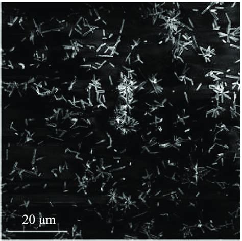 The Sem Image Flower Like Zno Nanostructures Download Scientific Diagram