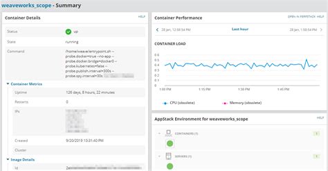 display container data in the solarwinds platform web console