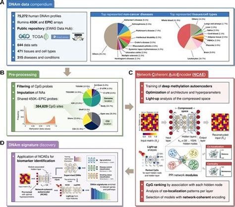 Janos Palhalmi Phd On Linkedin Ncae Data Driven Representations