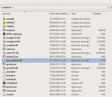 Computsimu Creating Shared Library Ampl