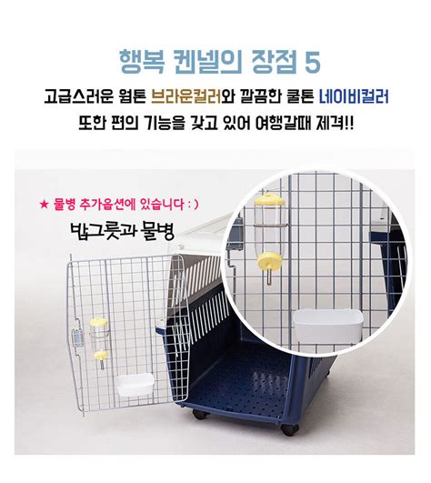 보더콜리 믹스 강아지 키우는 중인데 진짜 똑똑하네요 Mlbpark