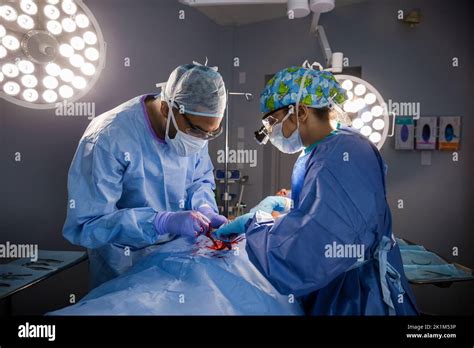 Man On Operating Table Hi Res Stock Photography And Images Alamy