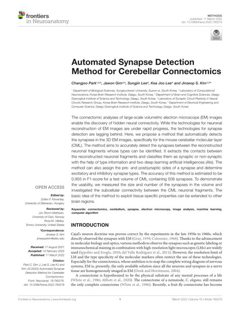 Pdf Automated Synapse Detection Method For Cerebellar Connectomics