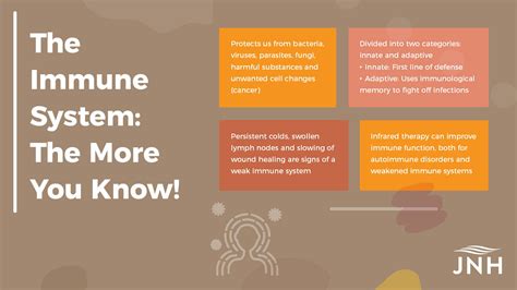 Signs Of A Weak Immune System And How You Can Strengthen It Jnh
