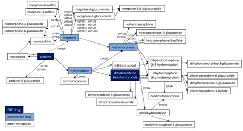 Molecules Free Full Text Pharmacological Aspects Of Over The Counter Opioid Drugs Misuse