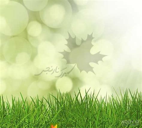 دانلود عکس باکیفیت برای فتوشاپ عکس نودی