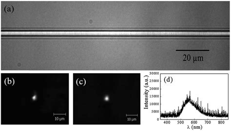 A Shows An Optical Microscope Image Top View Of The Waveguide Download Scientific Diagram