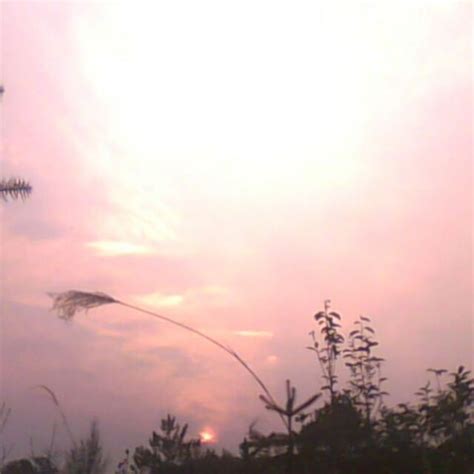 通过api修改客户标签，外部联系人回调事件不触发吗？ 开发者社区 企业微信开发者中心