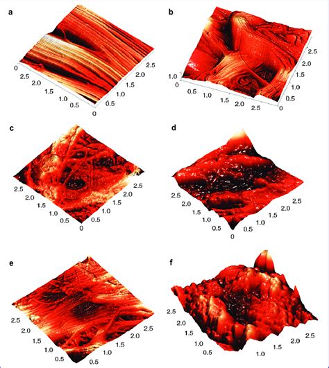 High Resolution 3d Atomic Force Microscopy Images Demonstrating