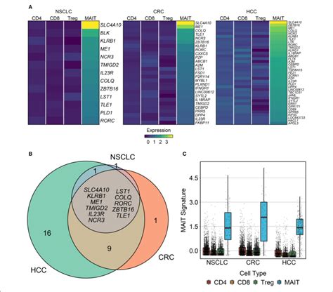 Identification Of Mait Cell Signature Genes Three Single Cell