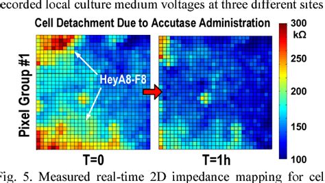 Figure 3 From A High Density Cmos Multi Modality Joint Sensor Stimulator Array With 1024 Pixels