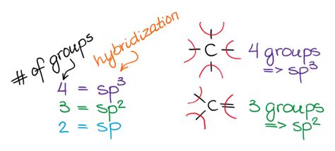Hybridization — Organic Chemistry Tutor