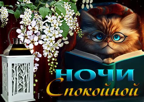 Неотразимая открытка с котиком и книгой Спокойной ночи Скачать бесплатно на