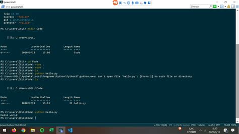 安装 Python 的过程失败 · Issue 1398 · Neoleepilot · Github
