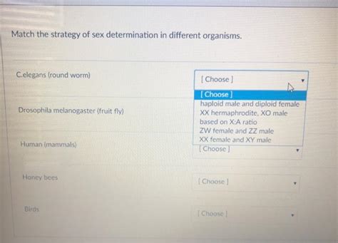 Solved Match The Strategy Of Sex Determination In Different Chegg Com