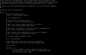 Nginx Auth Request Definition How To Use With Examples